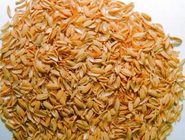 Biomass Carbonization Plant - Mingjie Group